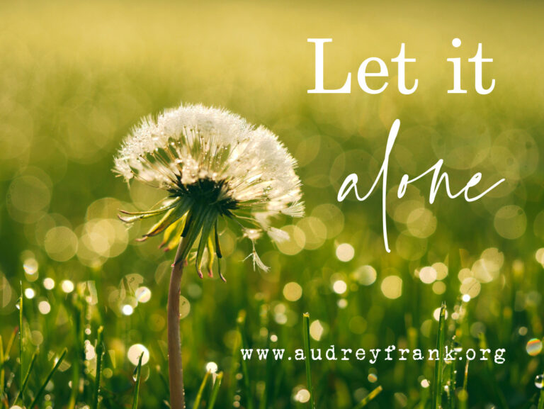Let it Alone – Audrey Frank | Audrey Frank, Instead of shame… honor.
