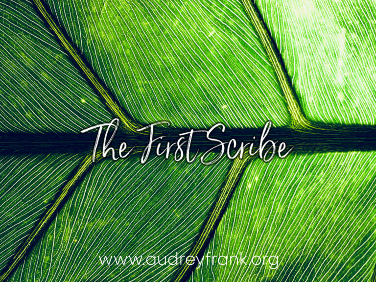 The First Scribe – Audrey Frank | Audrey Frank, Instead of shame… honor.